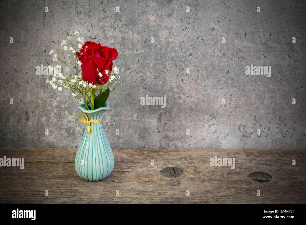 Red rose and Gypsophyla paniculata flowers in a ceramic blue vase ...