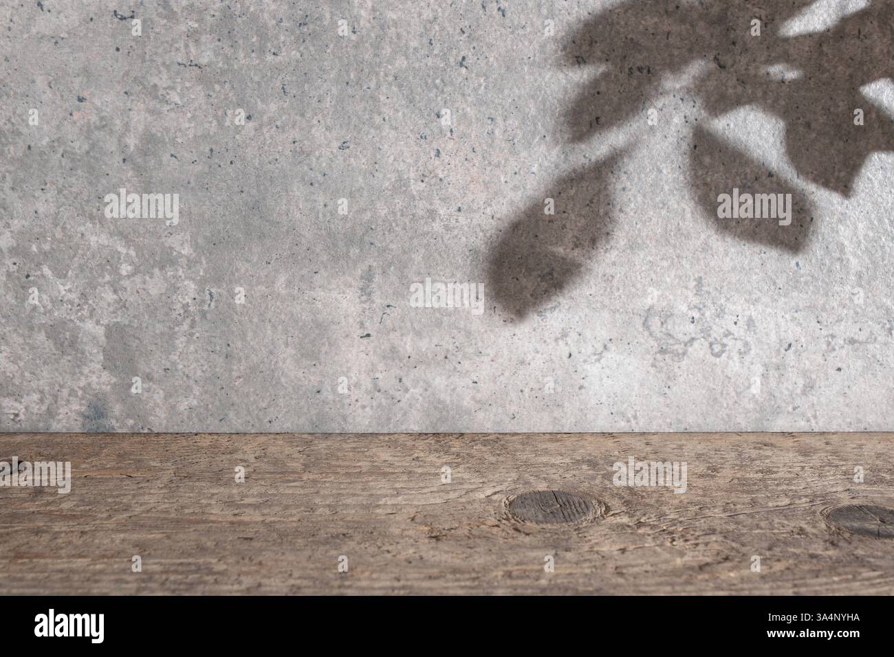 Beautiful backdrop with cement textured wall, weathered wood desk and tree foliage shadows ...