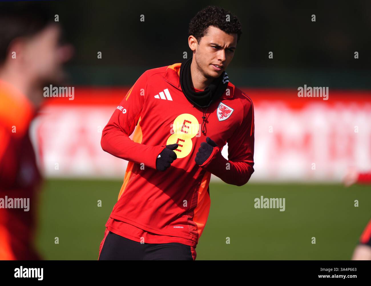 Wales' Brennan Johnson during a training session at FAW HQ, Vale Resort ...