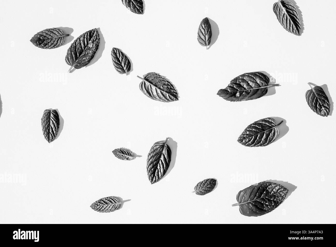 Spring minimalism Black and White Stock Photos & Images - Alamy