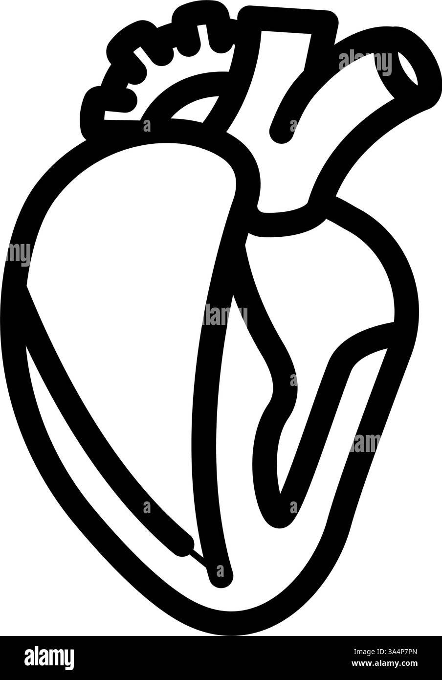 hypertrophic cardiomyopathy cardiology line icon vector illustration ...