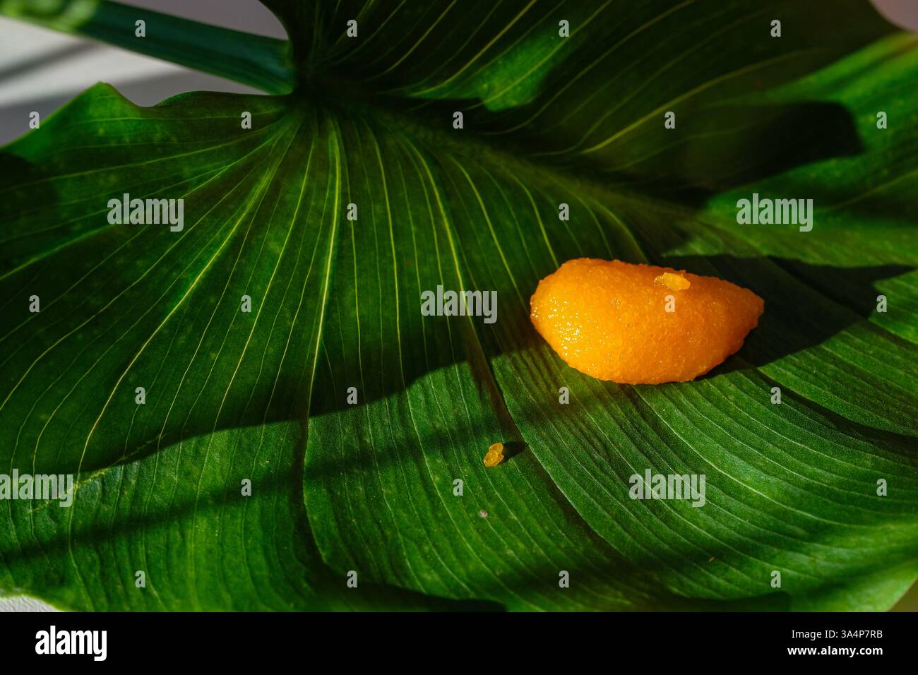 Sample of citrus body scrub on bright green leaf background. Textures ...