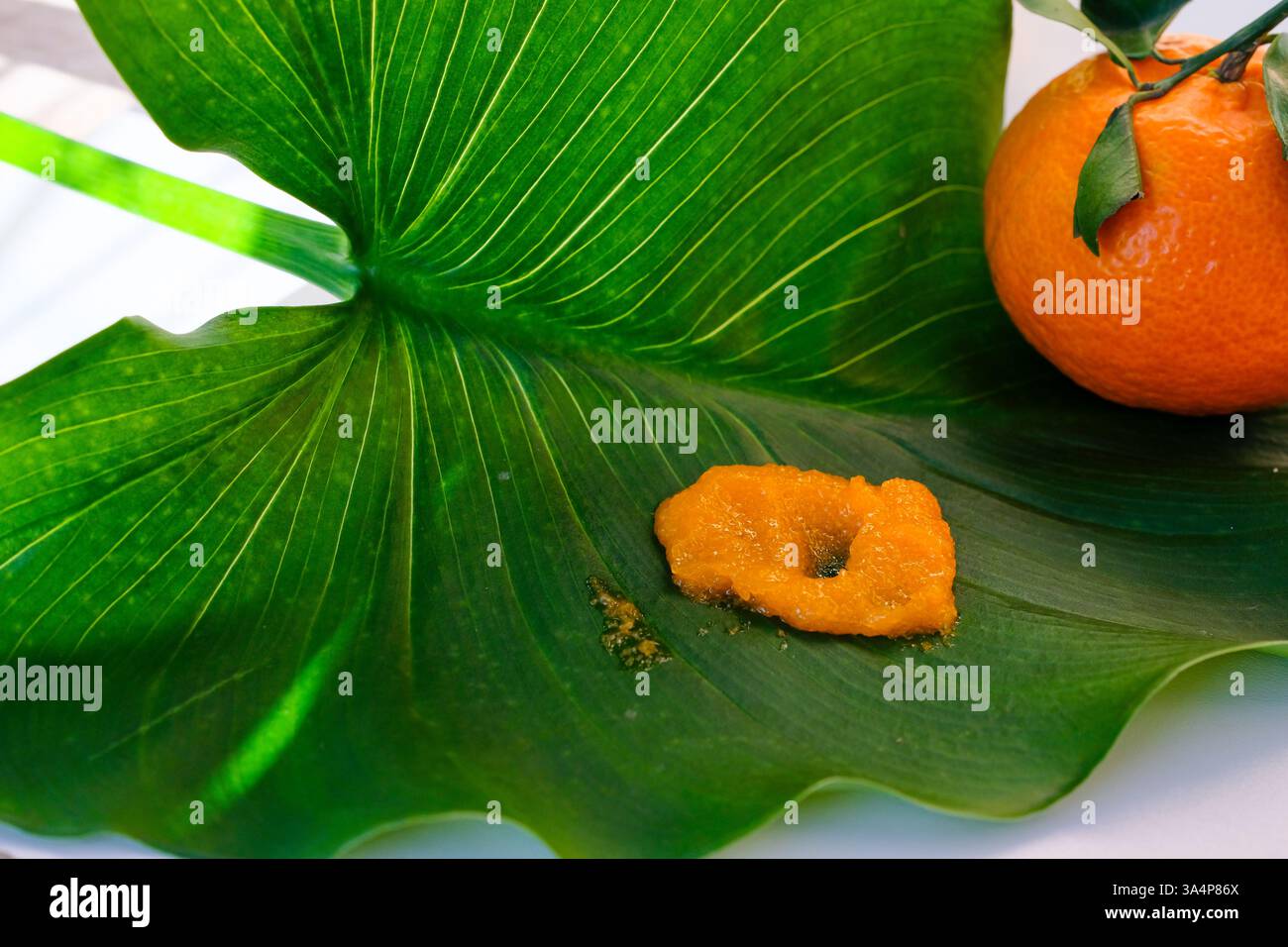 Smear of citrus body scrub on bright green leaf background. Orange ...
