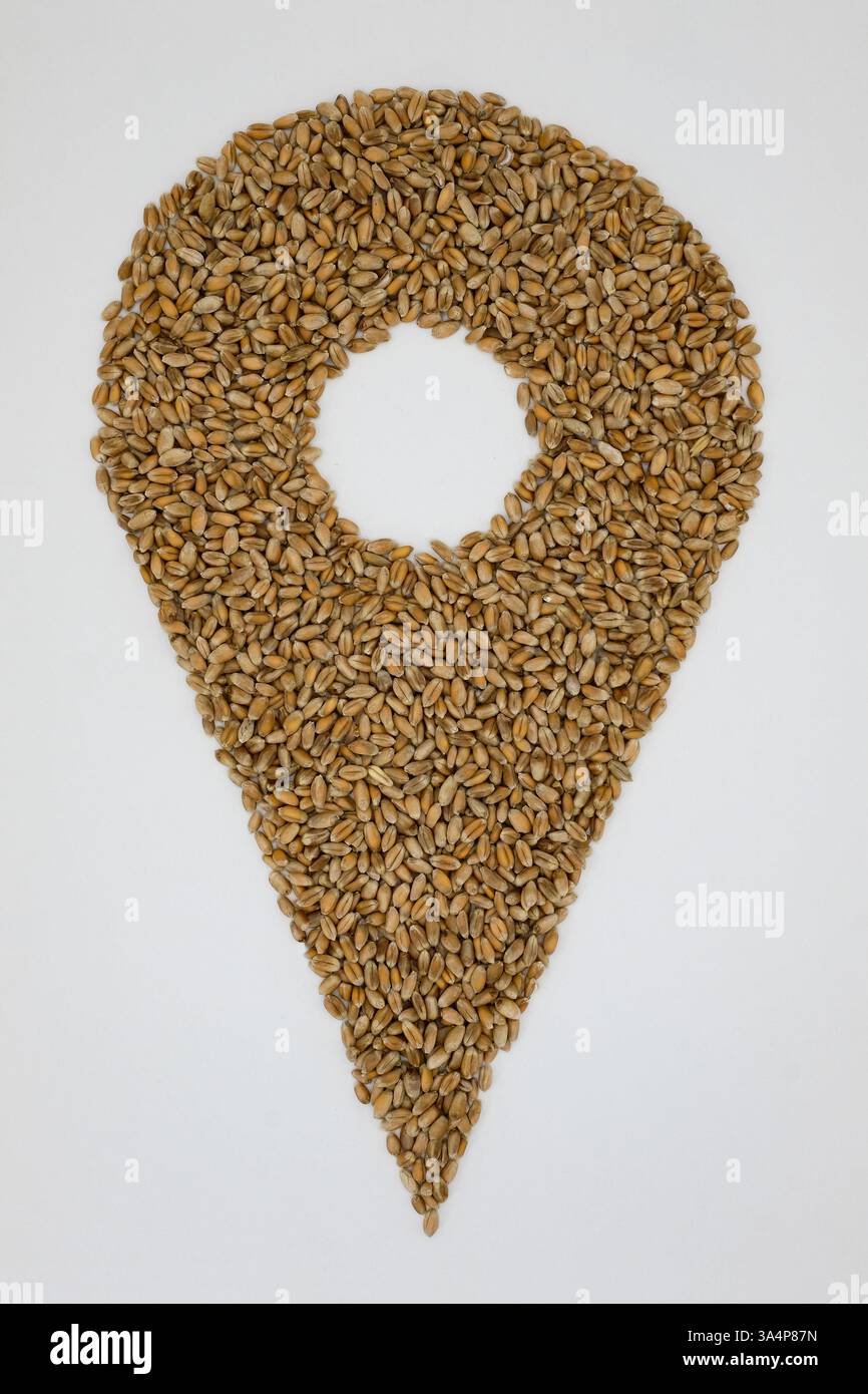 The location bubble or pin icon is made from wheat grains. Grain ...