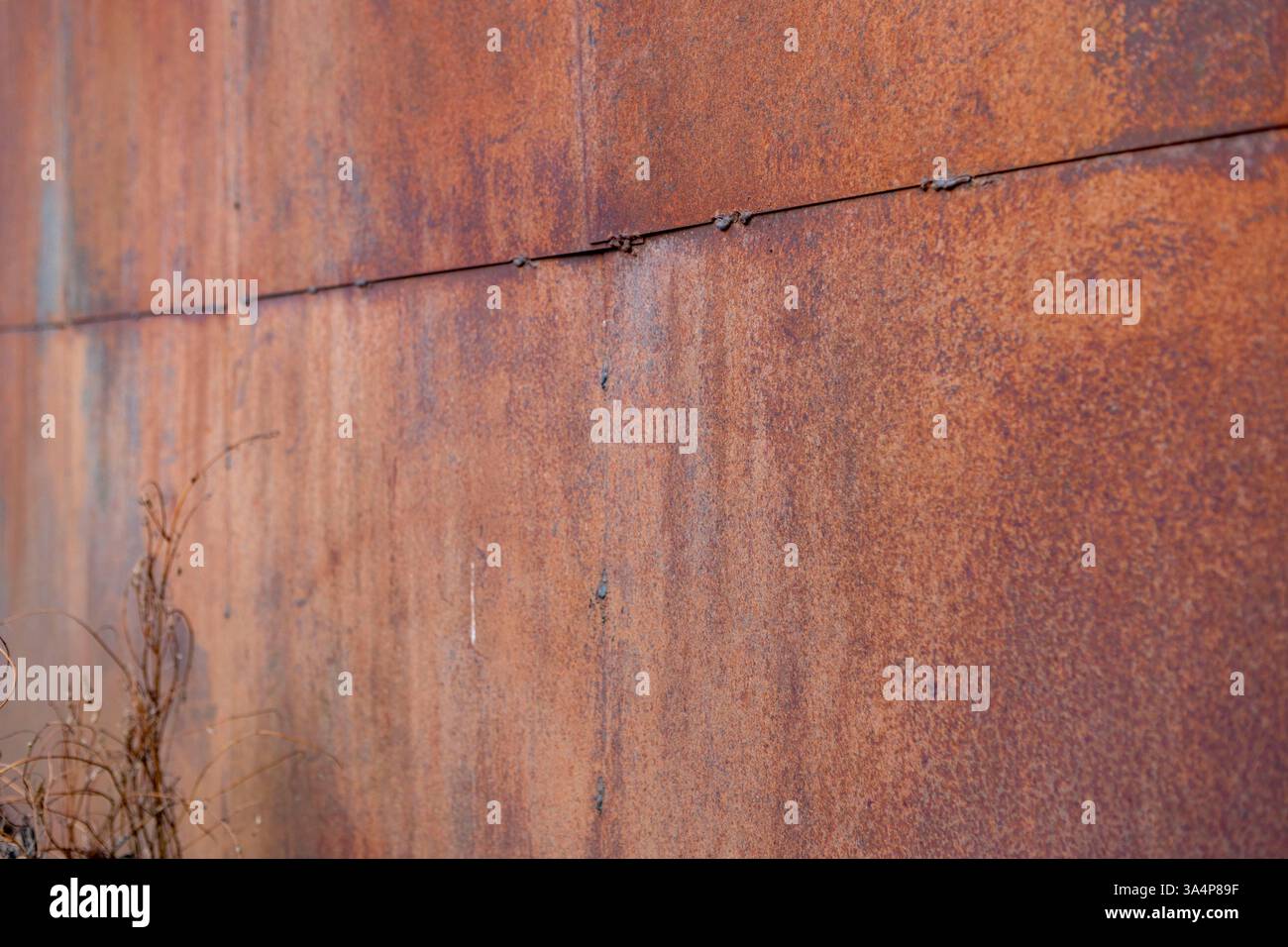 A textured metal surface covered with tin sheets, showing patches of ...
