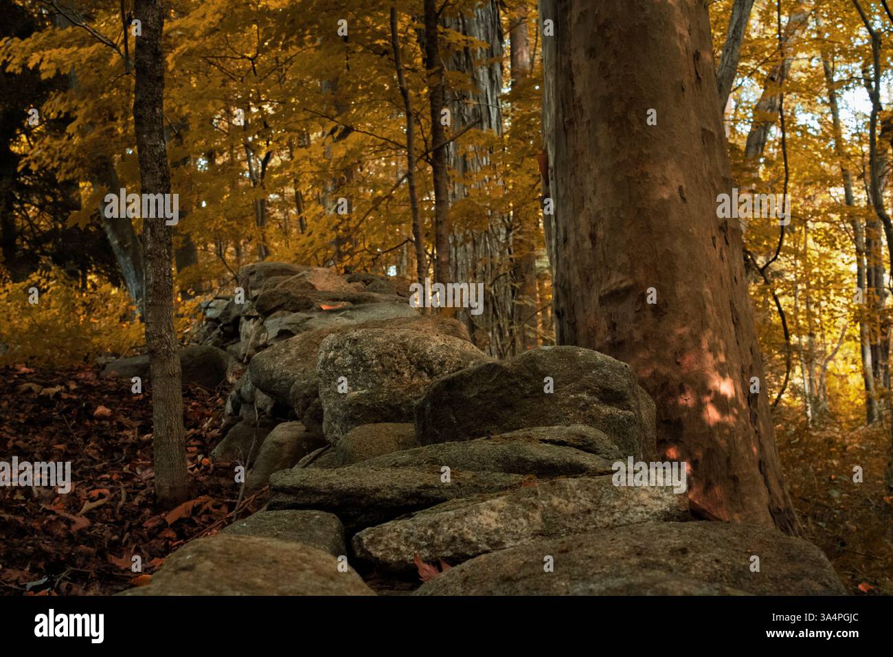 A Rock Wall at Weir Farm National Historical Park Stock Photo - Alamy