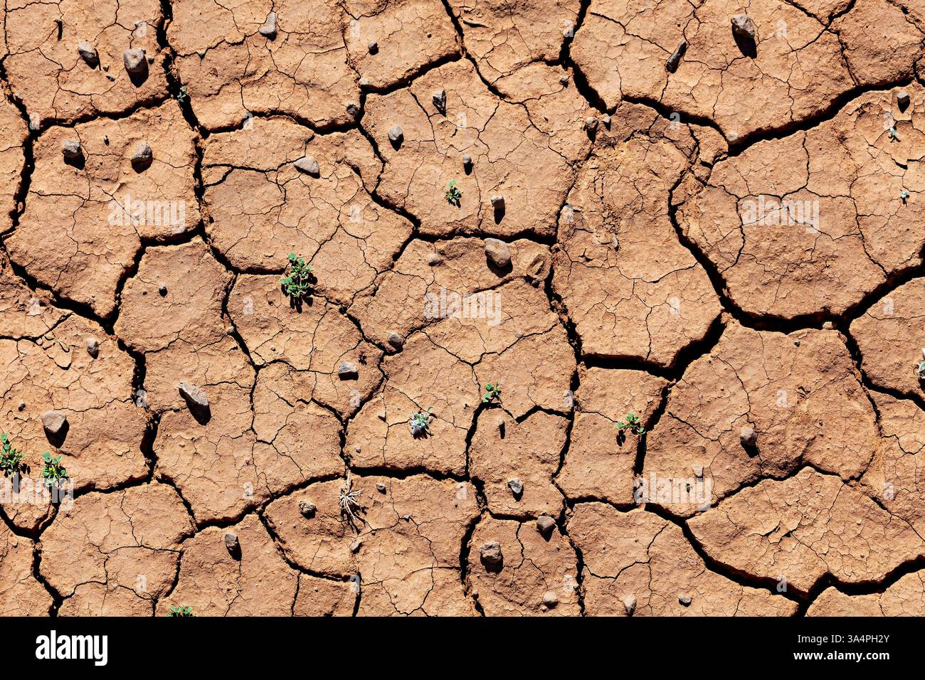 Dry soil in the sahara desert Stock Photo - Alamy