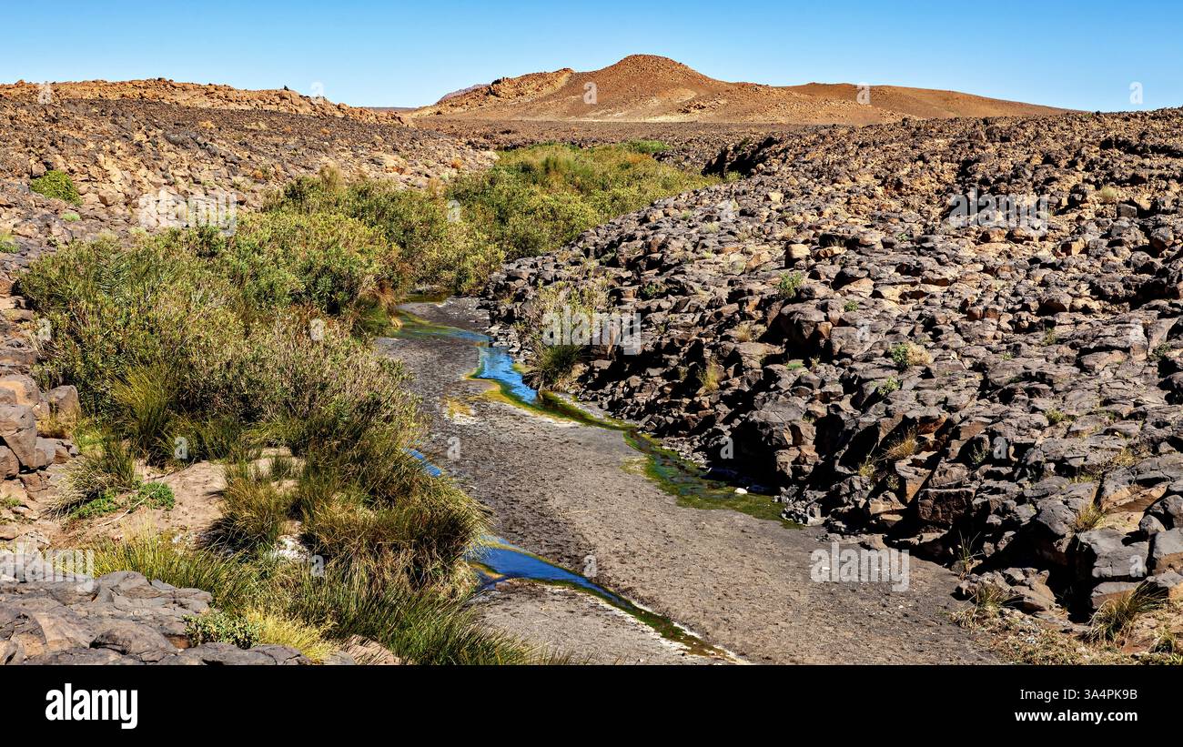 Small River in the Sahara Desert of Algeria Stock Photo - Alamy