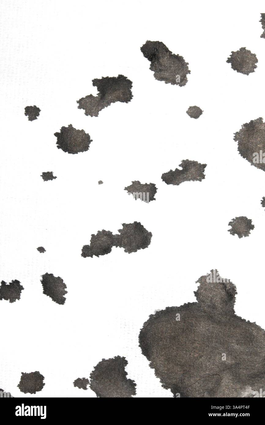 Acrylic Black Ink Paint Splatters and Spots Blot on White for ...