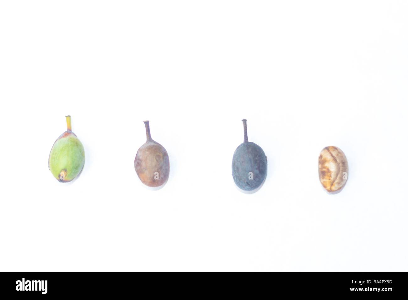 Top down view natural Cut Out Stock Images & Pictures - Alamy