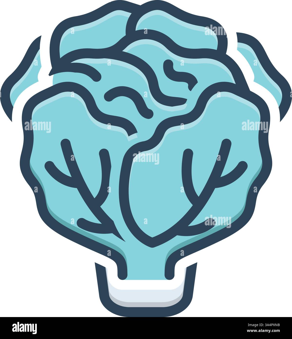 Icon for lettuce, green Stock Vector Image & Art - Alamy