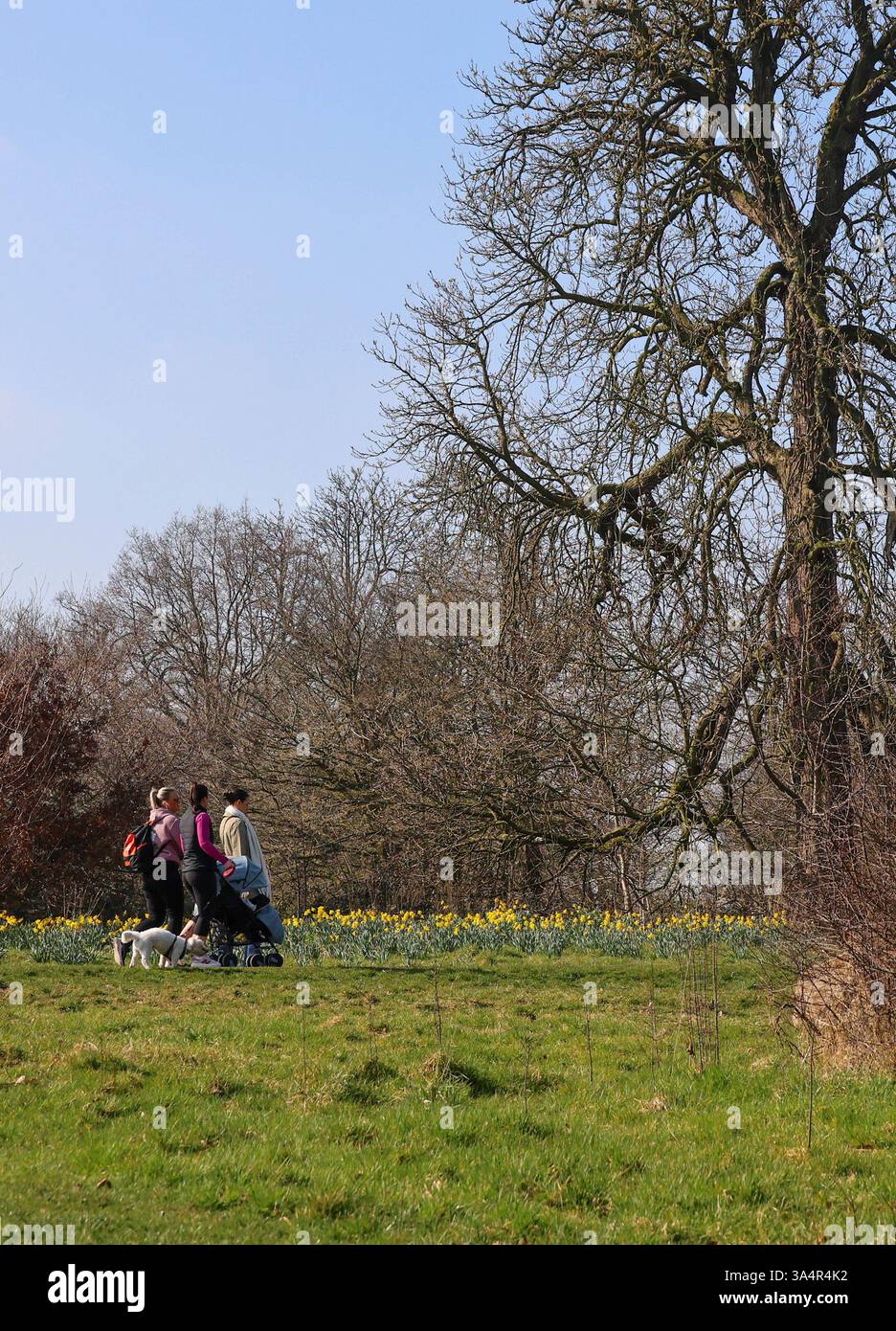 Moira, County Down, Northern Ireland, UK. 19 Mar 2025. UK weather ...