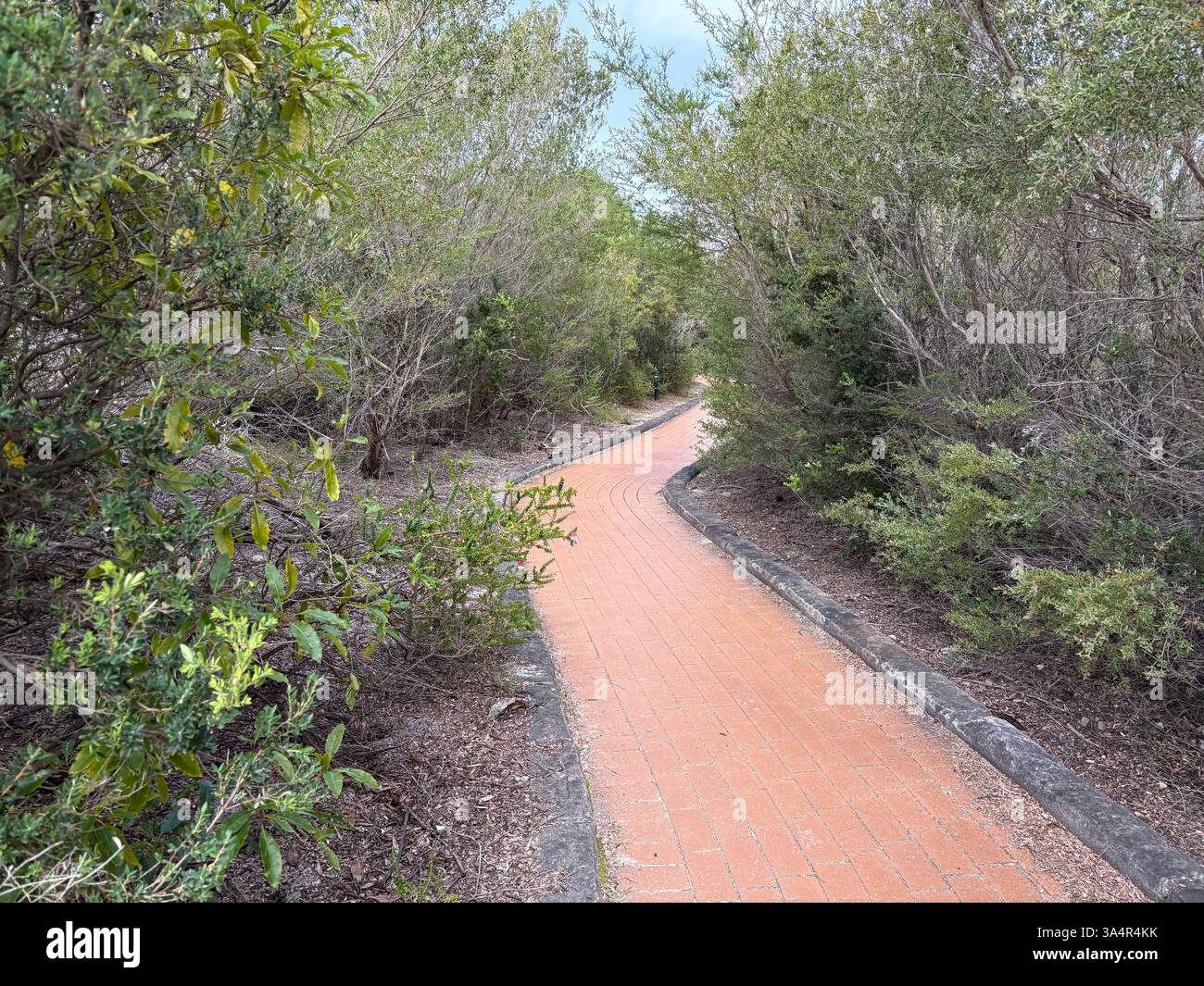 The brick paved Memorial Walk path inside Sydney Harbour National Park ...