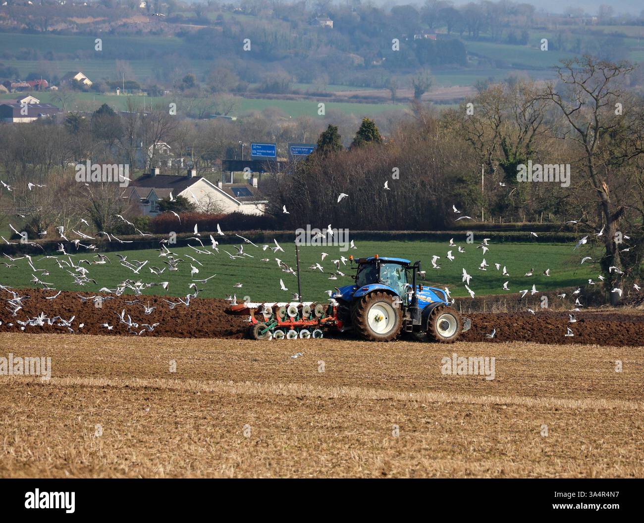 Moira spirng 2025 hi-res stock photography and images - Alamy