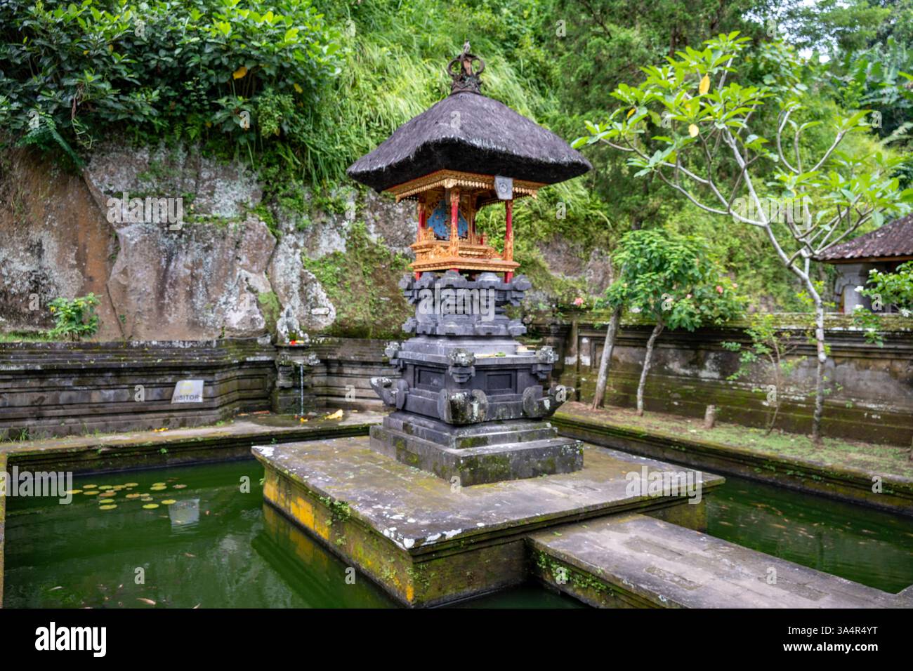 Pura Goa Gajah, Elephant Temple, Bali, Indonesia Stock Photo - Alamy