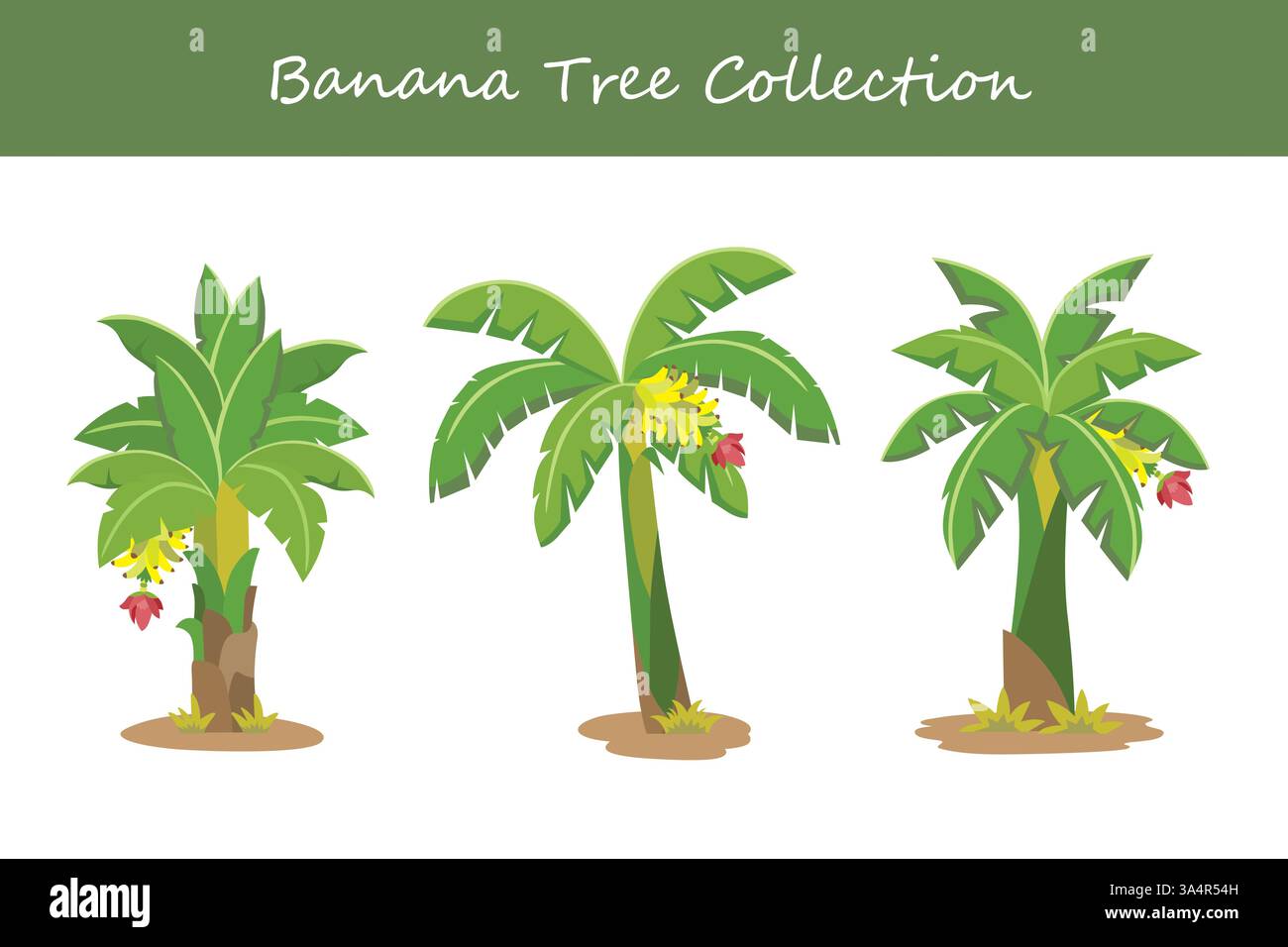 banana tree collection in different style. Vector illustration Stock ...