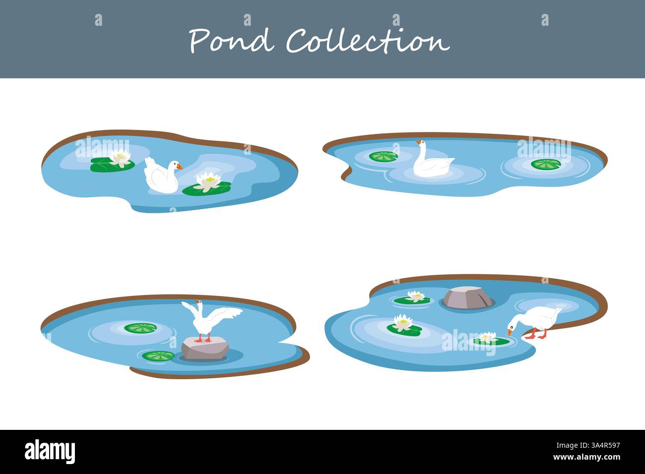 pond collection in different style. Vector illustration Stock Vector ...