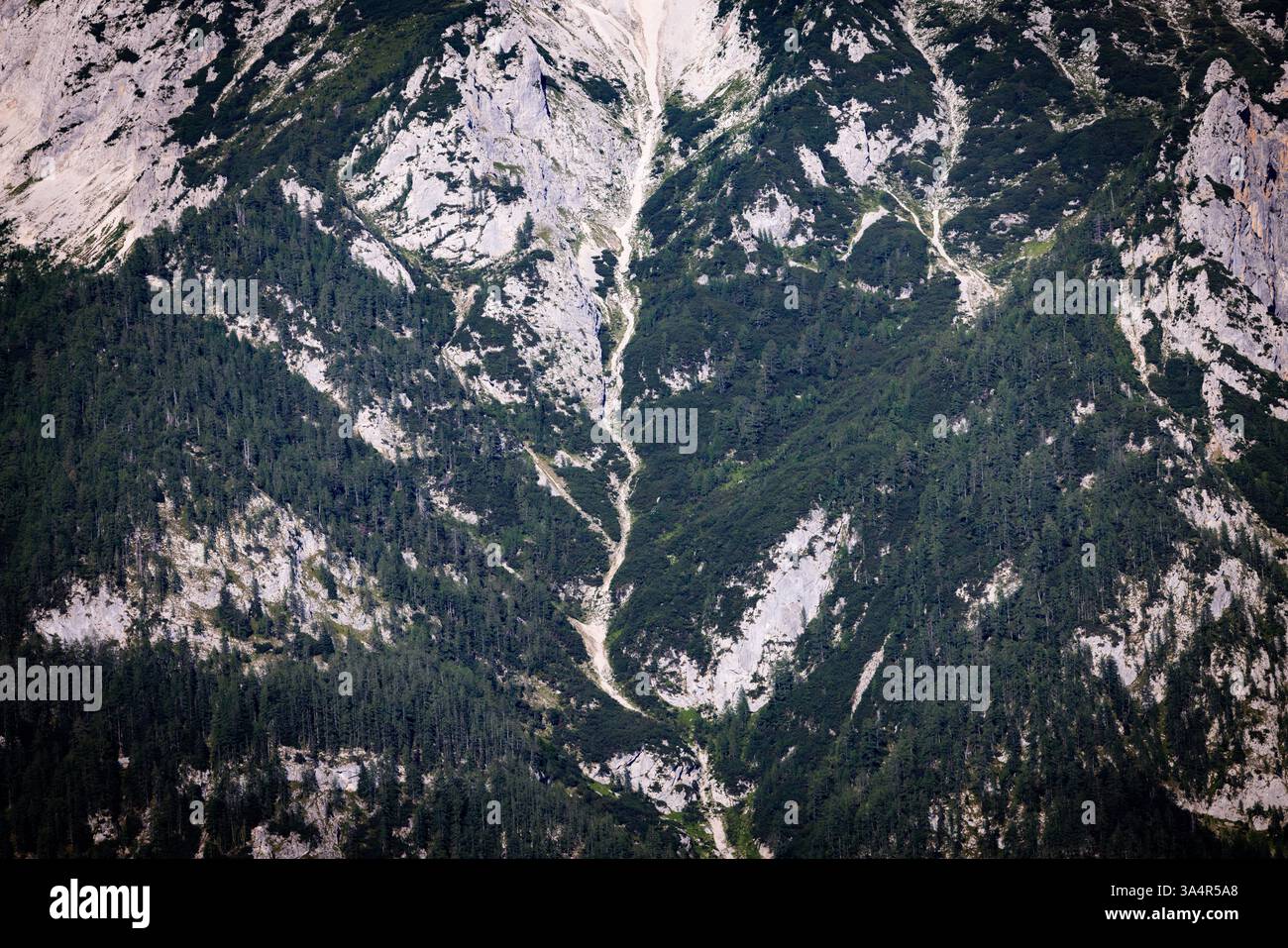 Mountain Ridge with Forest and Rocky Terrain Seen from Afar Stock Photo ...