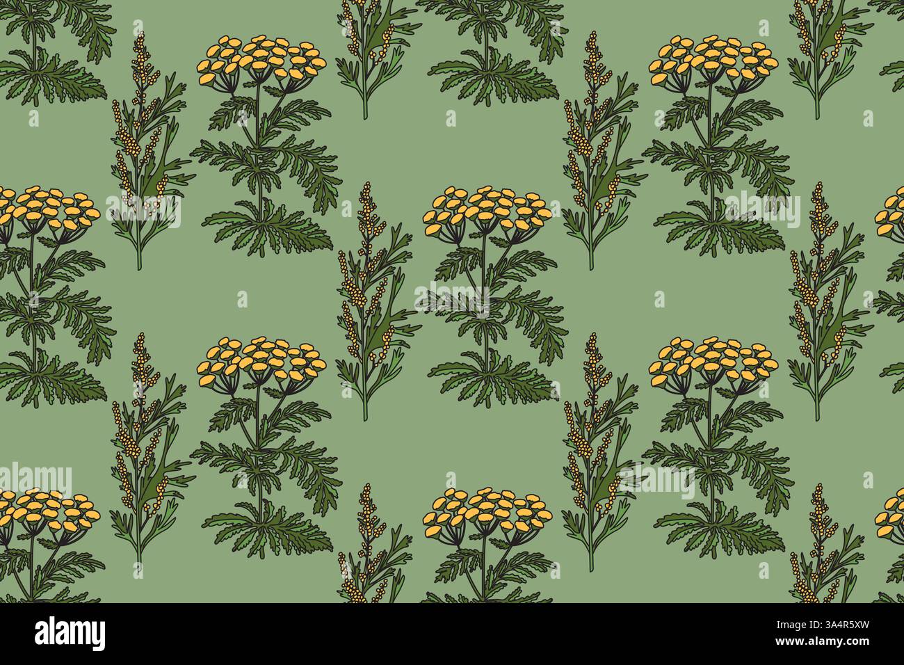 Botanical plant seamless pattern with flowers vector illustration ...
