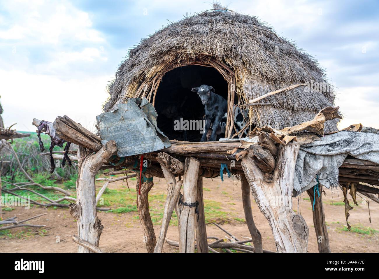 Ethiopia, in a village from the Nyangatom tribe in the Omo Valley. A ...