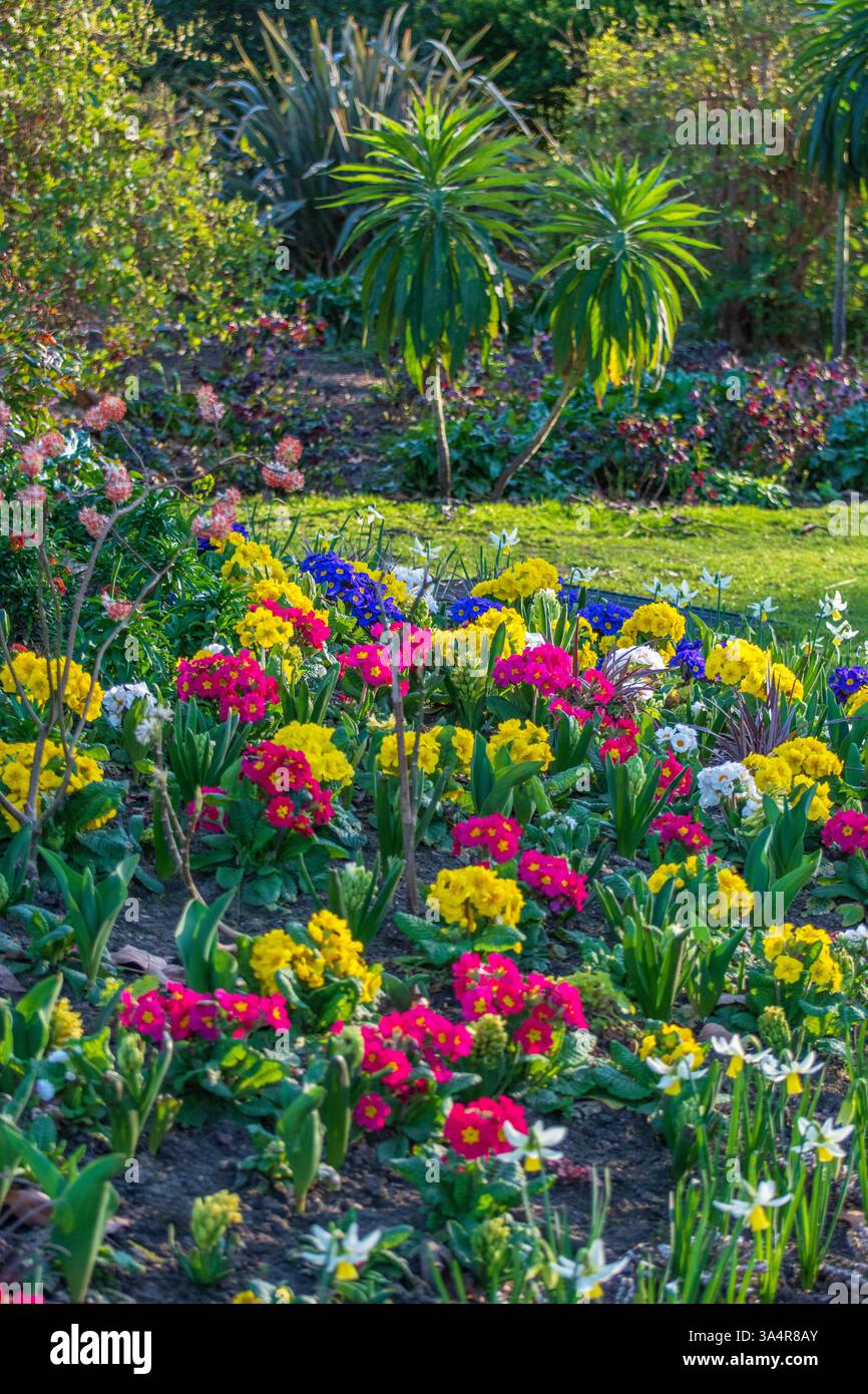 London, UK. 18th March 2025. UK Weather. Spring flowers in full bloom ...