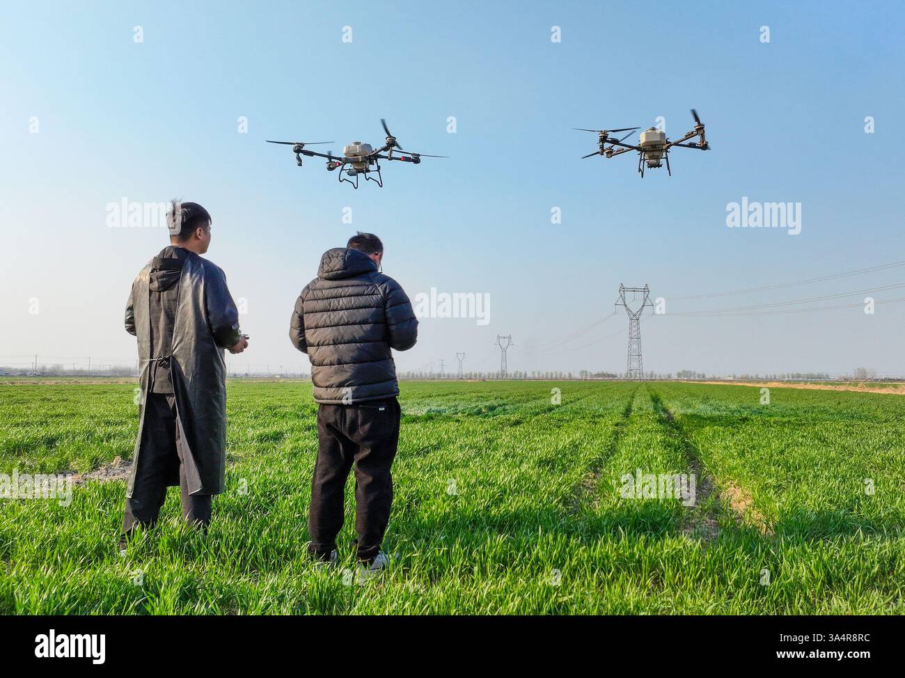 SUQIAN, CHINA - MARCH 19, 2025 - Two Beidou spraying drones spray ...