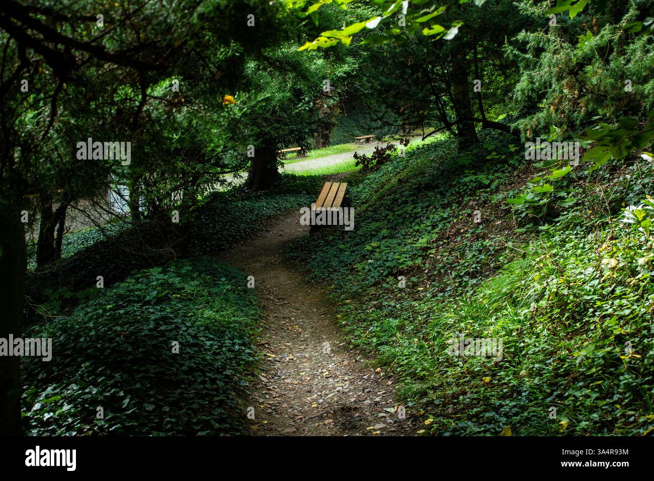 Deer Moat at Prague Castle, a peaceful green valley with scenic trails ...
