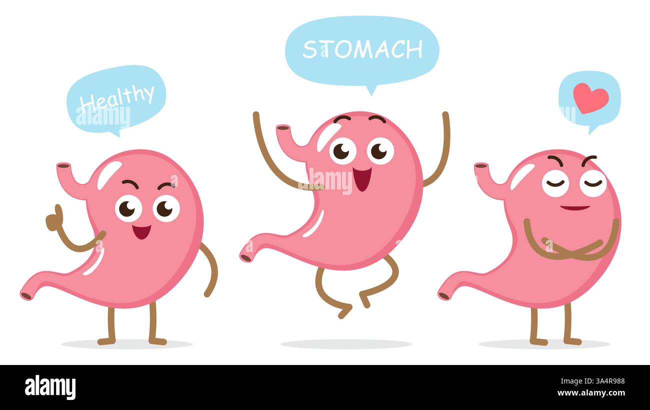 Healthy stomach . Cute medical cartoon characters . White isolated ...