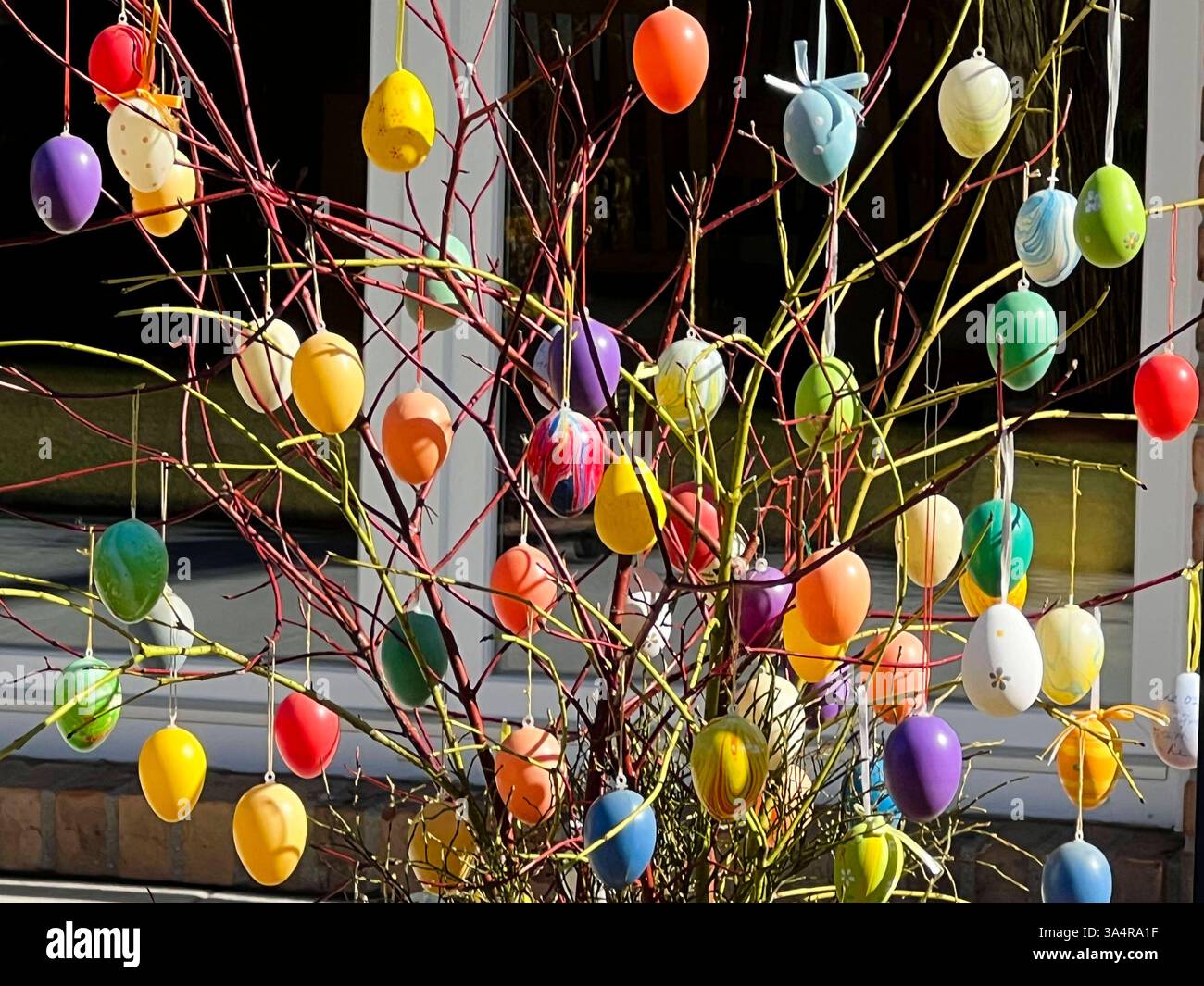 Osterstrauch mit Bunten Ostereiern steht im Garten Ostereier haengen an ...