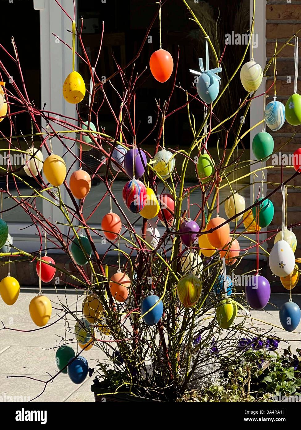 Osterstrauch mit Bunten Ostereiern steht im Garten Ostereier haengen an ...