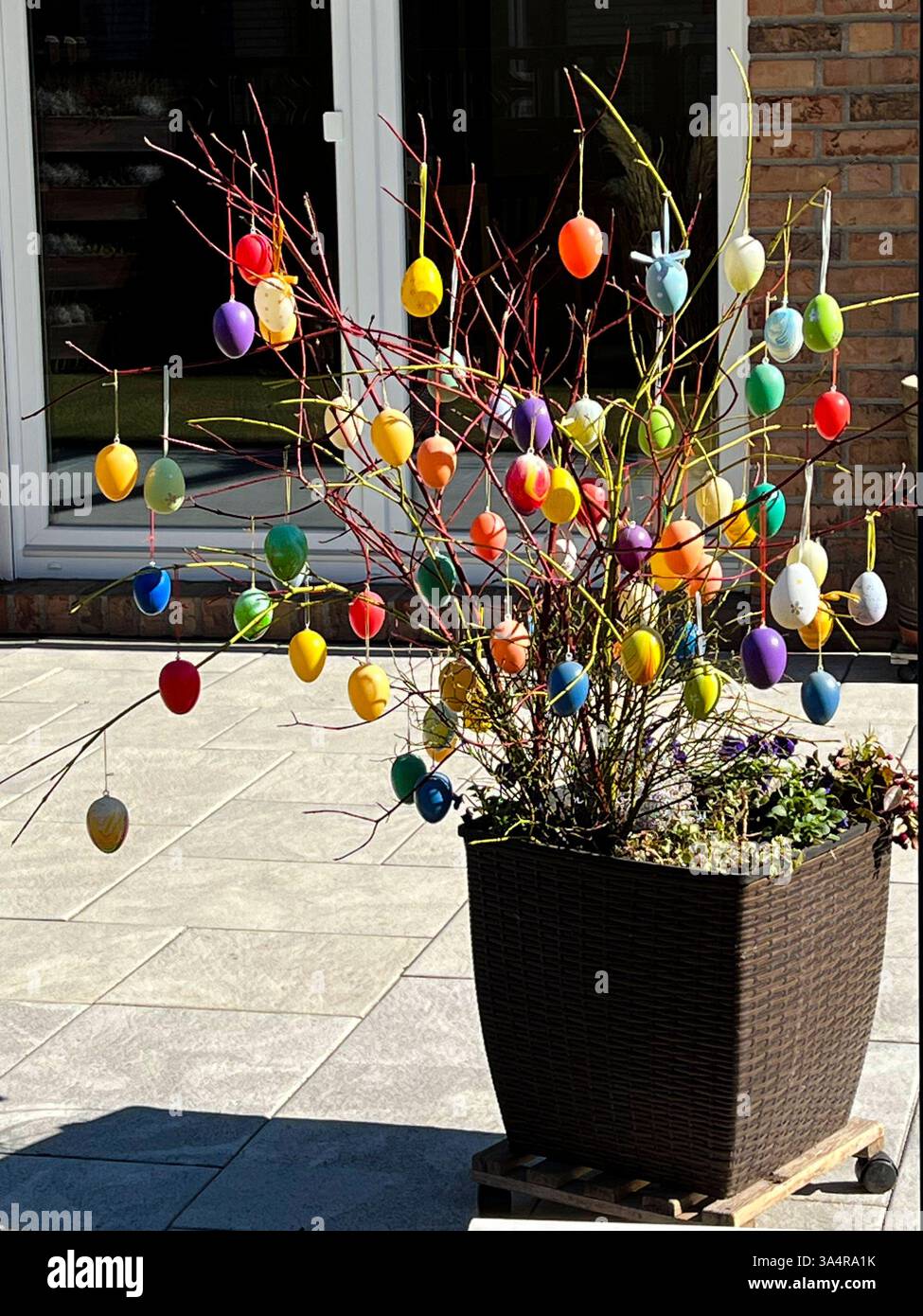 Osterstrauch mit Bunten Ostereiern steht im Garten Ostereier haengen an ...