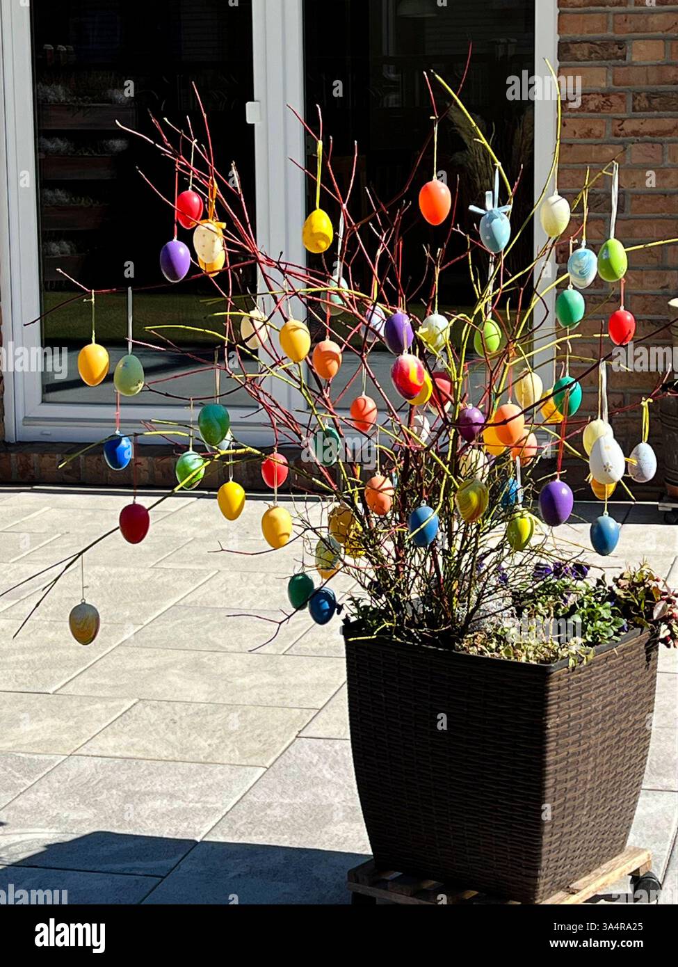 Osterstrauch mit Bunten Ostereiern steht im Garten Ostereier haengen an ...