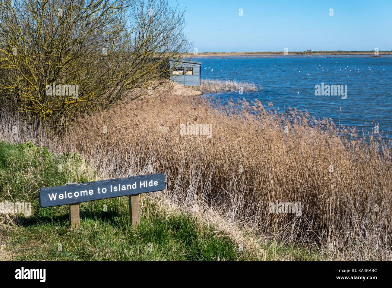 The Island Hide overlooking the Freshwater Marsh at RSPB Titchwell ...