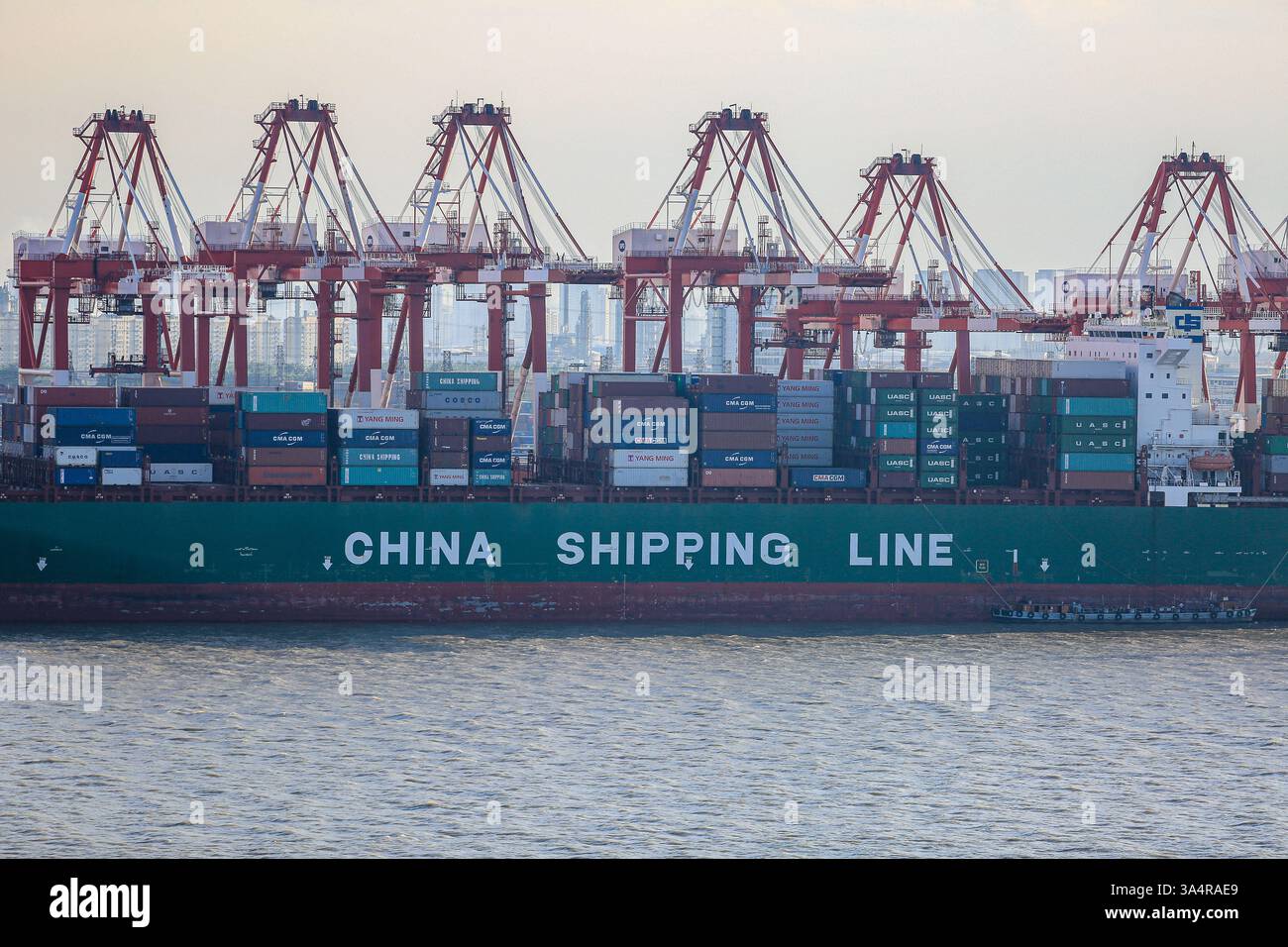 File pic: Mar 19,2025. A container ship with the hull livery "China ...