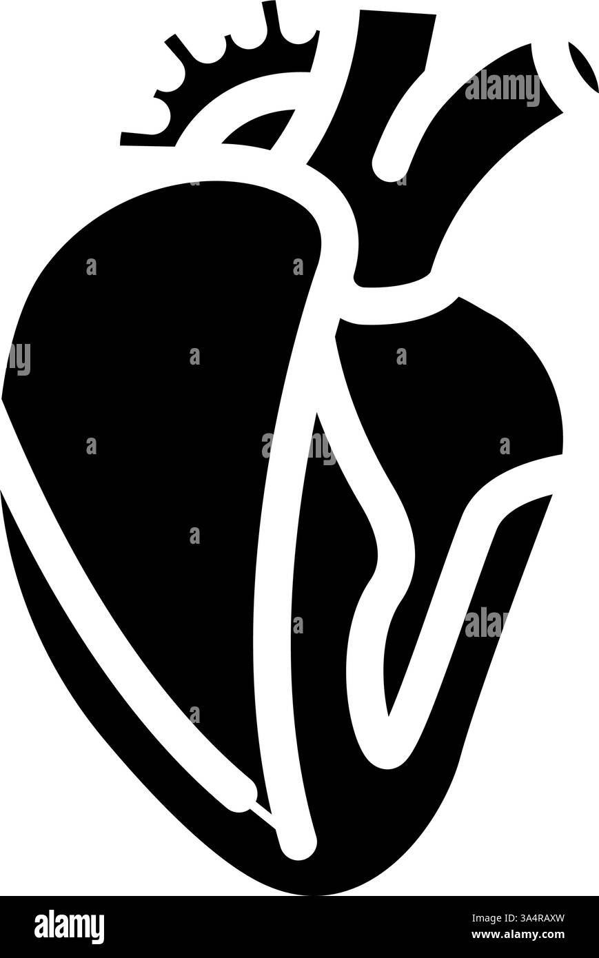 hypertrophic cardiomyopathy cardiology glyph icon vector illustration ...