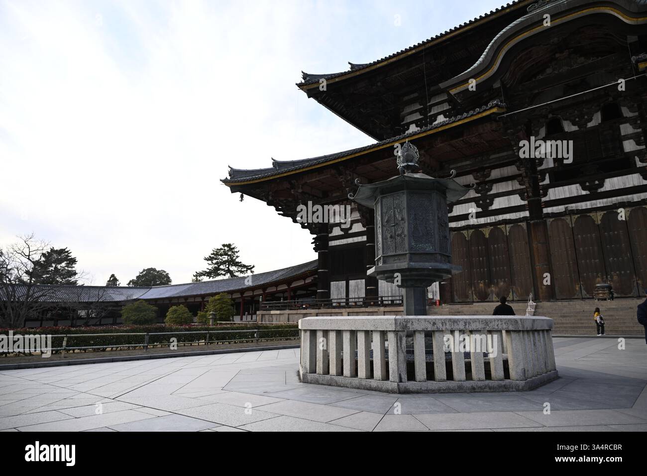 Nara temple, deers and todaiji temple Stock Photo - Alamy