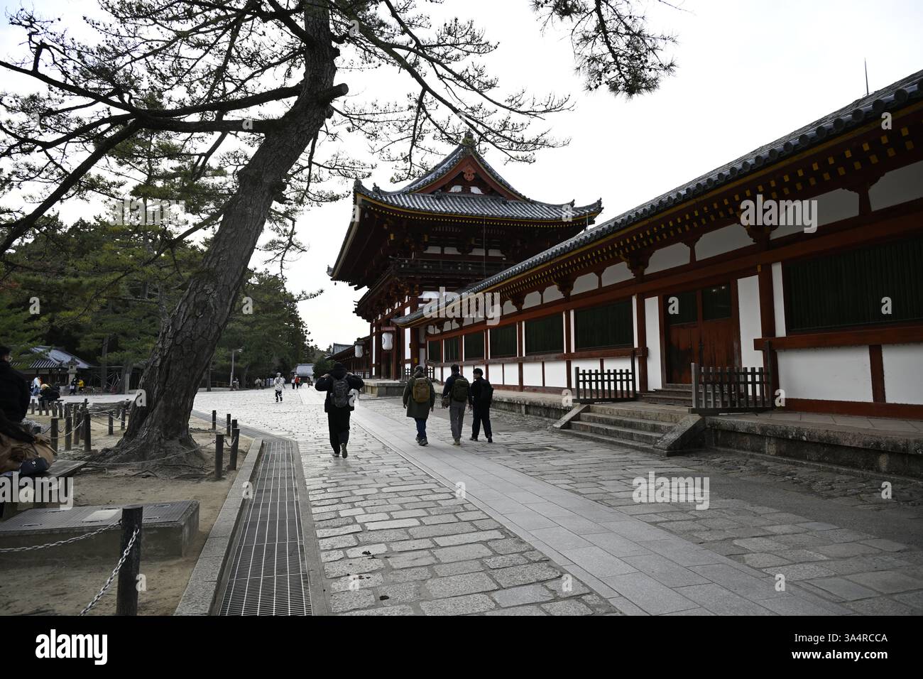 Nara temple, deers and todaiji temple Stock Photo - Alamy