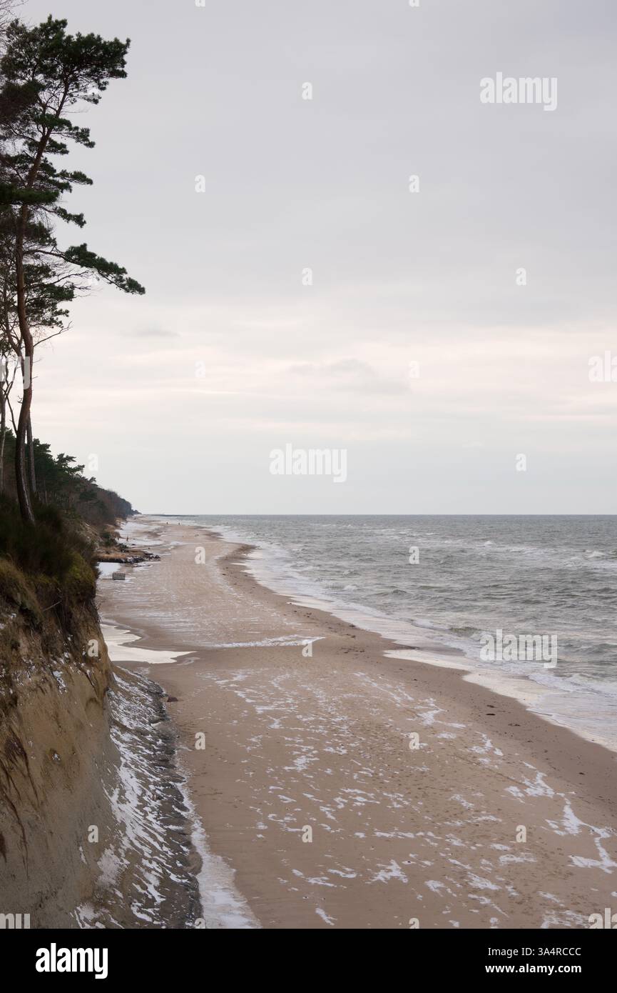 Winter Beach Landscape with Coastal Forest Stock Photo - Alamy