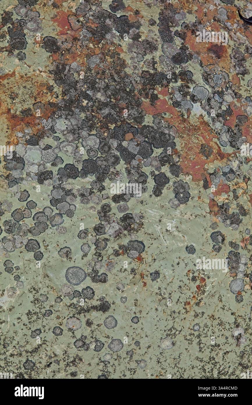 Closeup of texture of old metal cupola of a ww2 bunker for background ...