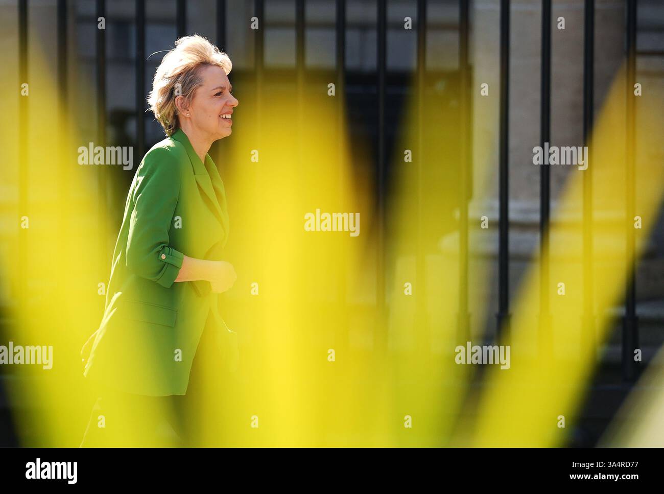 Labour leader Ivana Bacik at Leinster House, Dublin, as the Dail ...