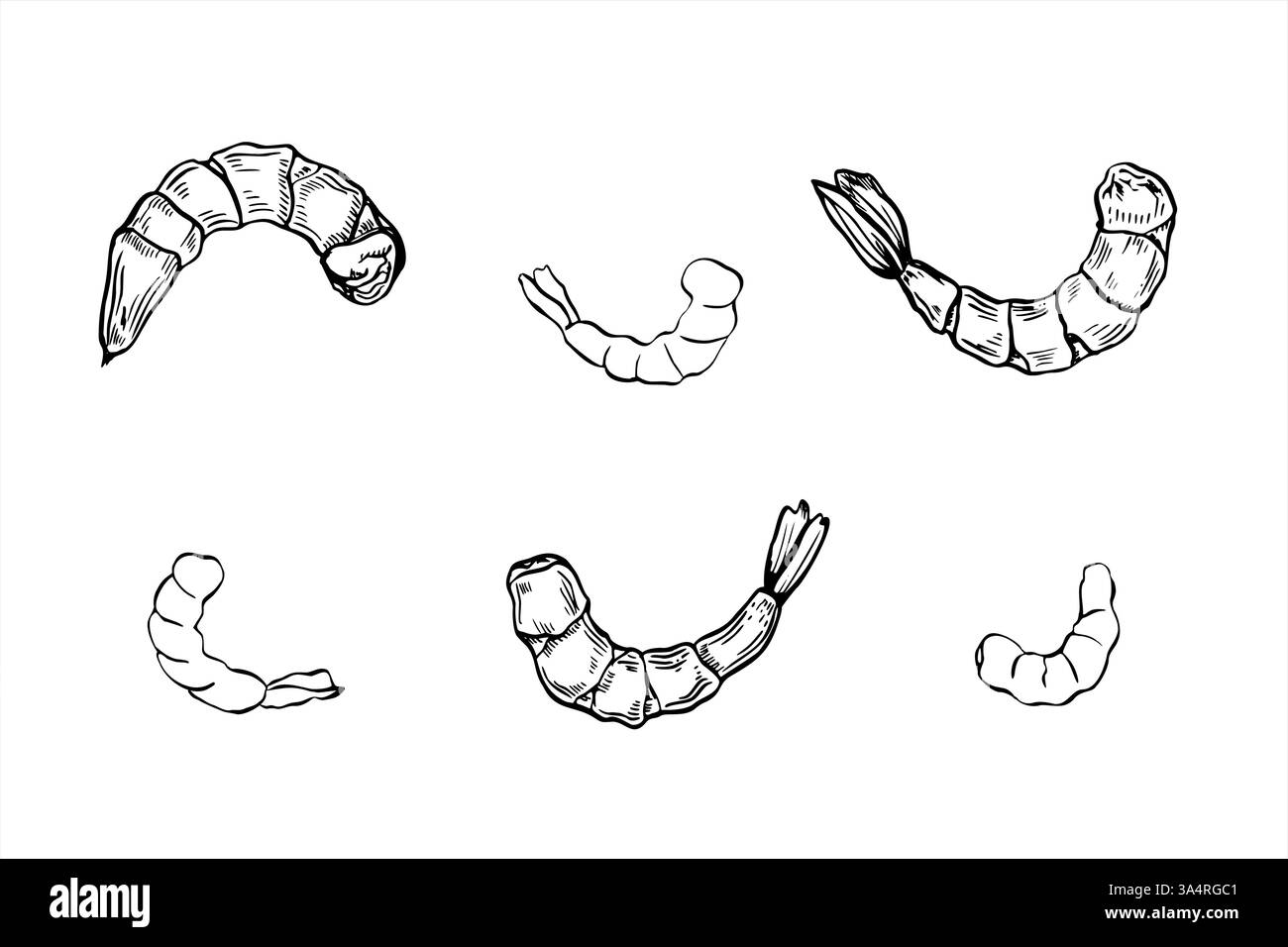 Seafood in art Stock Vector Images - Alamy