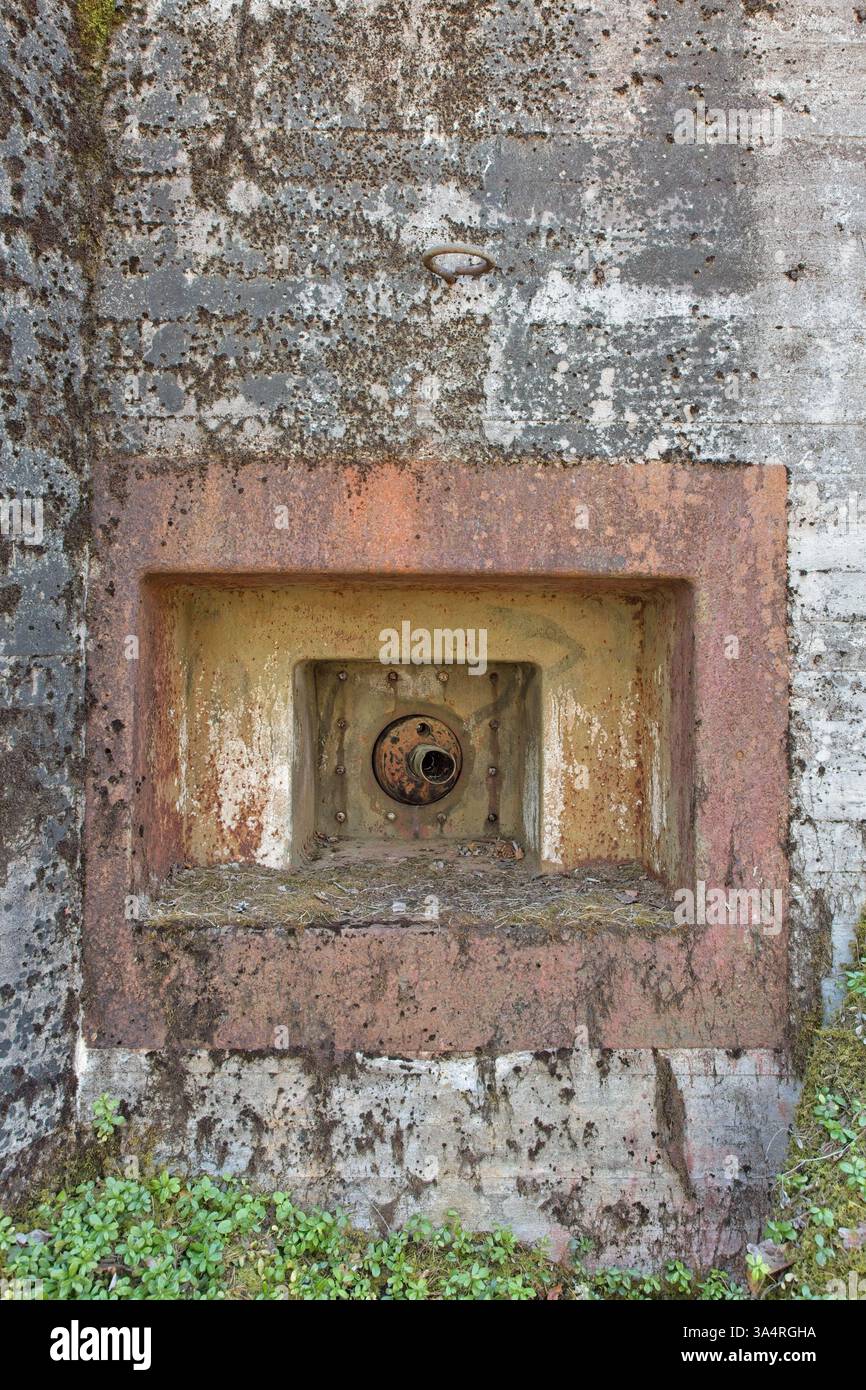 Finnish machine gun opening and machine gun at bunker B186 at Salpa ...