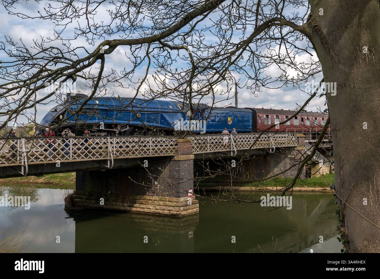Nigel pass hi-res stock photography and images - Alamy