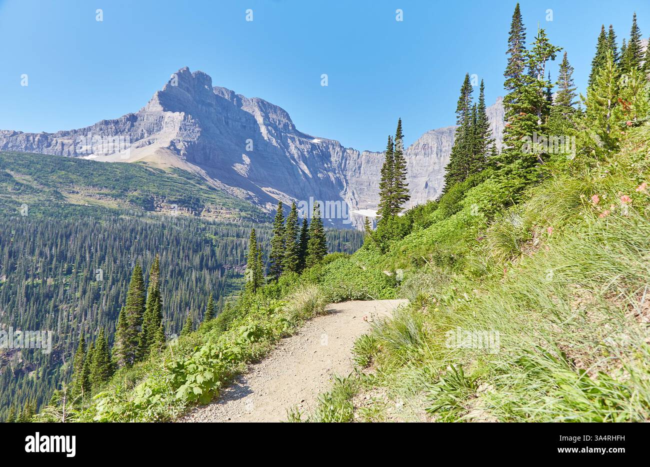 The hike to Iceberg Lake, one of the most popular hikes in Glacier ...