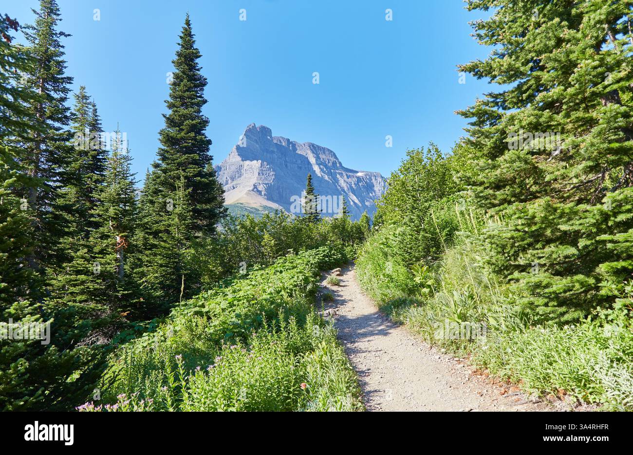 The hike to Iceberg Lake, one of the most popular hikes in Glacier ...