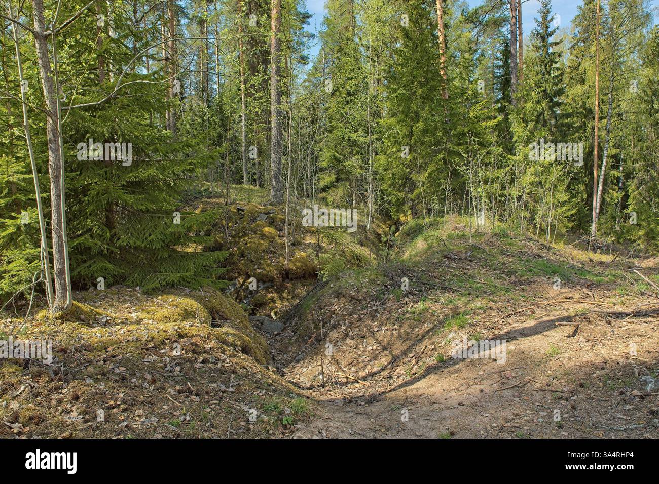 Old Finnish Second World War trenches at Salpa LIne (Salpalinja ...