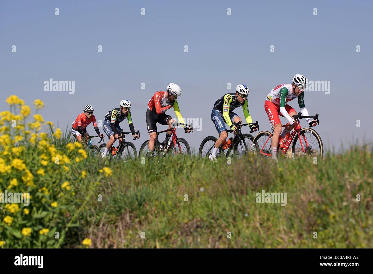 Rho, Italia. 19th Mar, 2025. The pack rides cycles during the men's ...