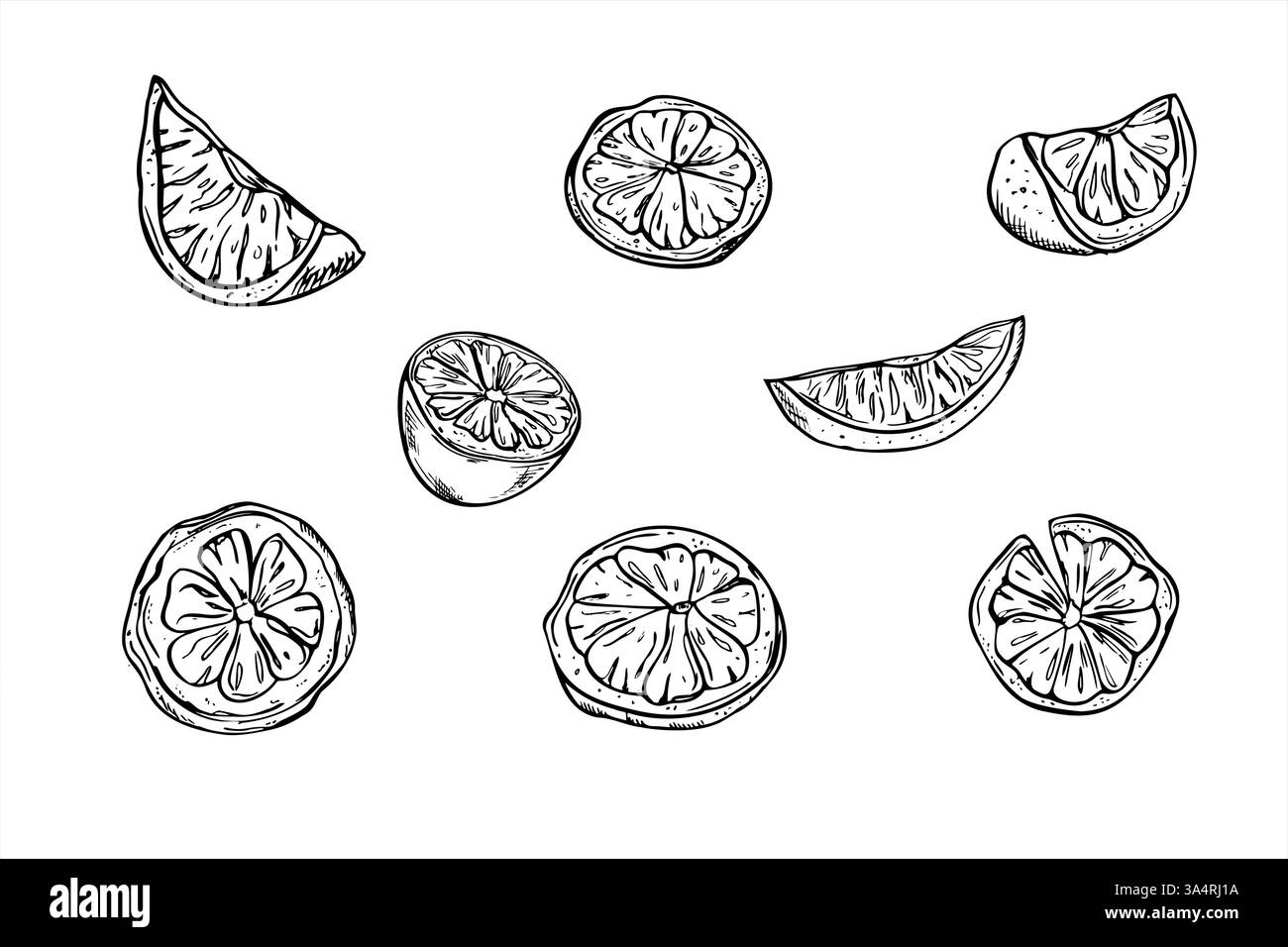 Lime slice clipart Black and White Stock Photos & Images - Alamy