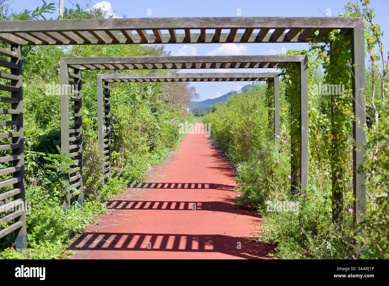 Wooden pergola pergolas hi-res stock photography and images - Alamy