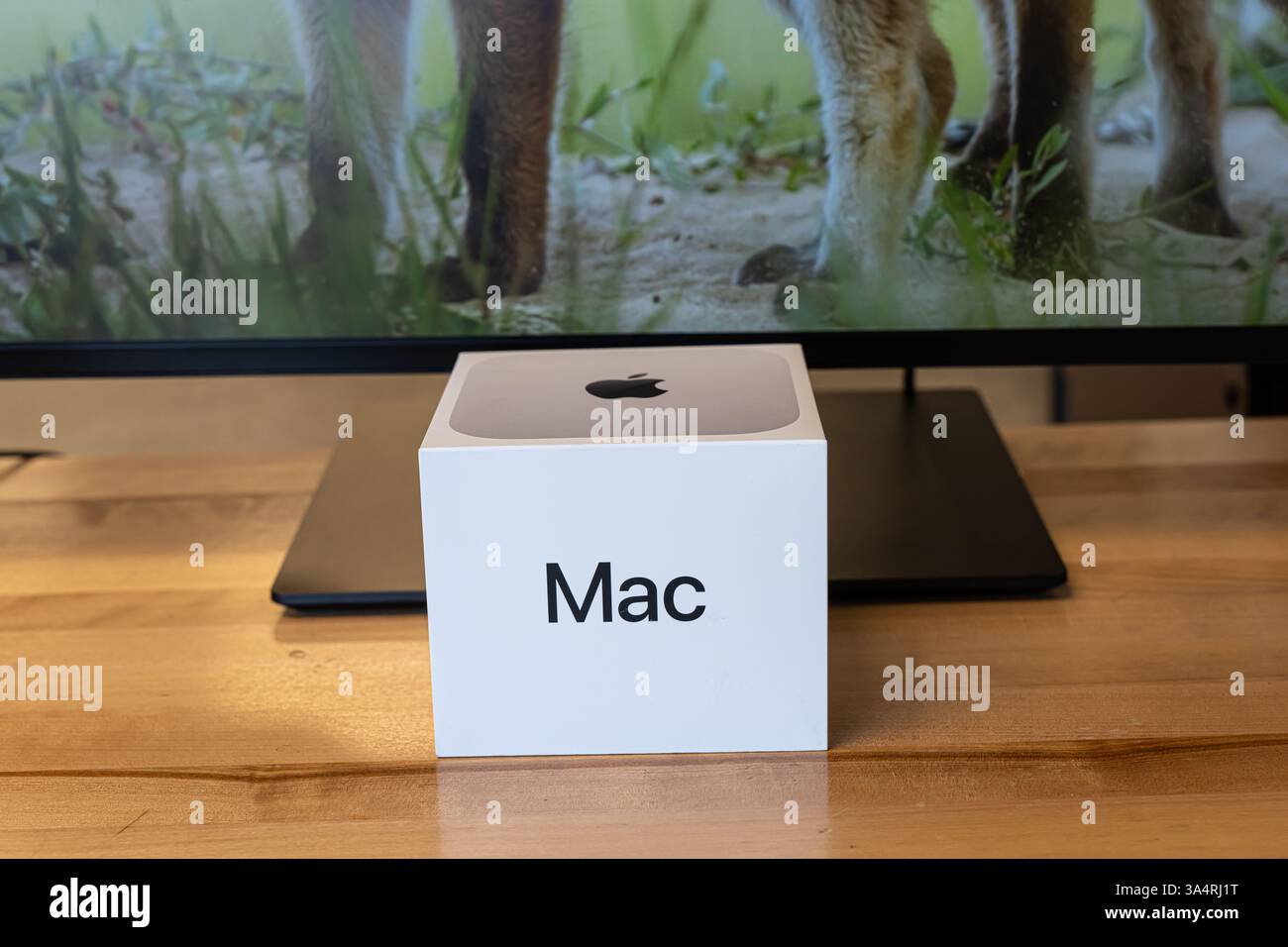January 9 2025 - Calgary alberta Canada - Mac Mini M4 Packaging Stock ...